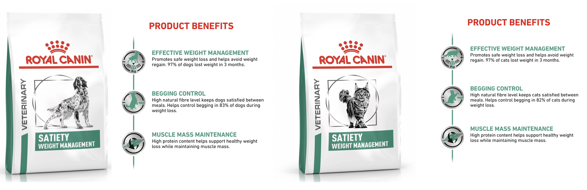 Weight Management in Cats & Dogs – SV Campus