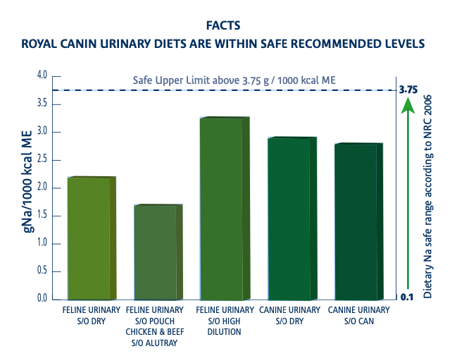 Salt is an Essential Nutrient for Cats and Dogs – SV Campus